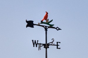 Cardinal Weathervane - Weathervane Spotter