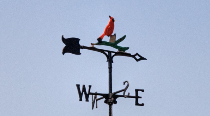 Cardinal Weathervane | Weathervane Spotter