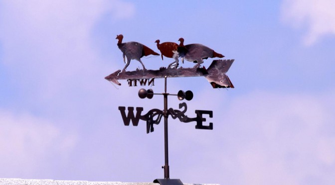 Turkey Weathervane | Weathervane Spotter
